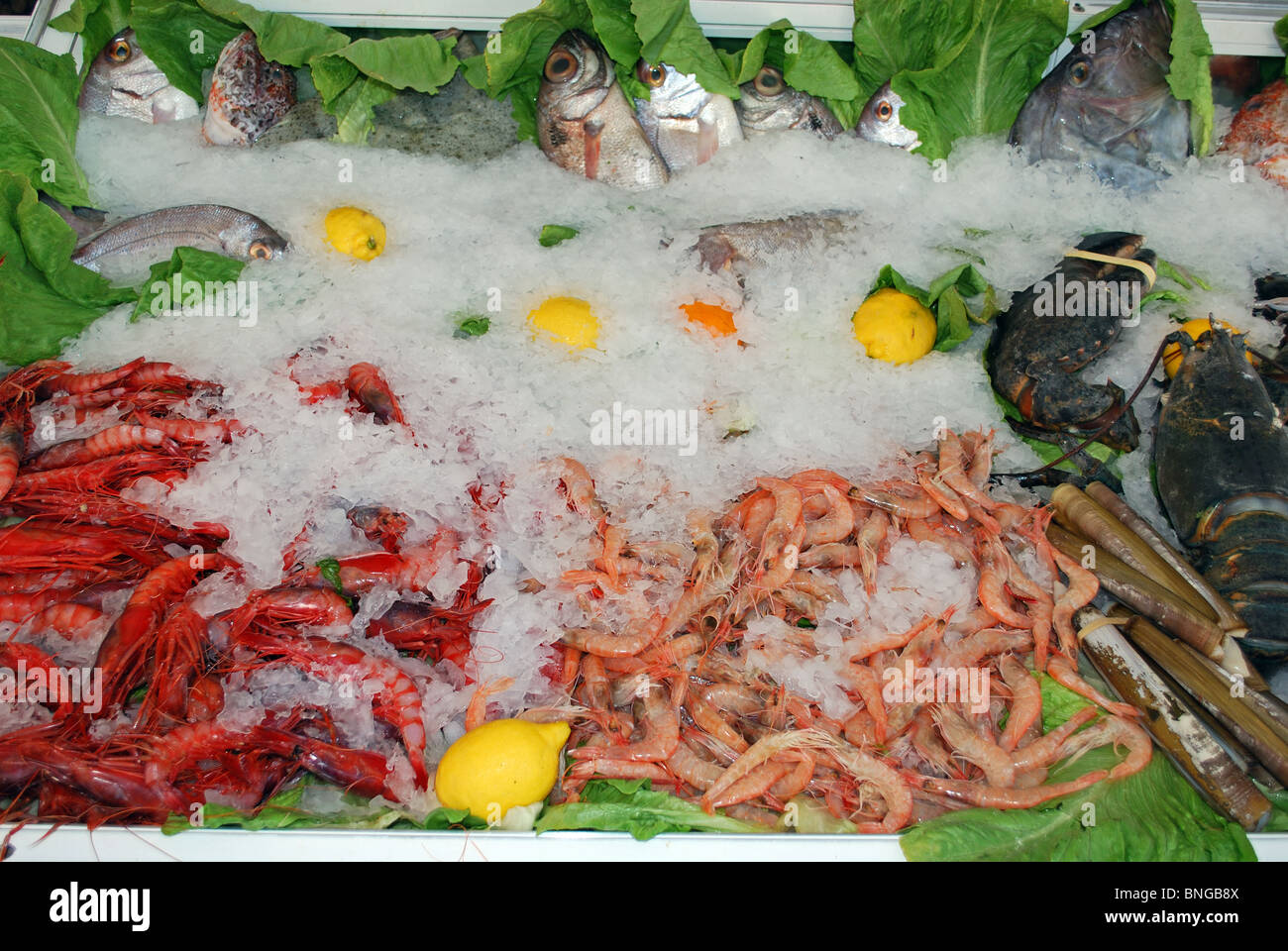 Food display chiller hi-res stock photography and images - Alamy