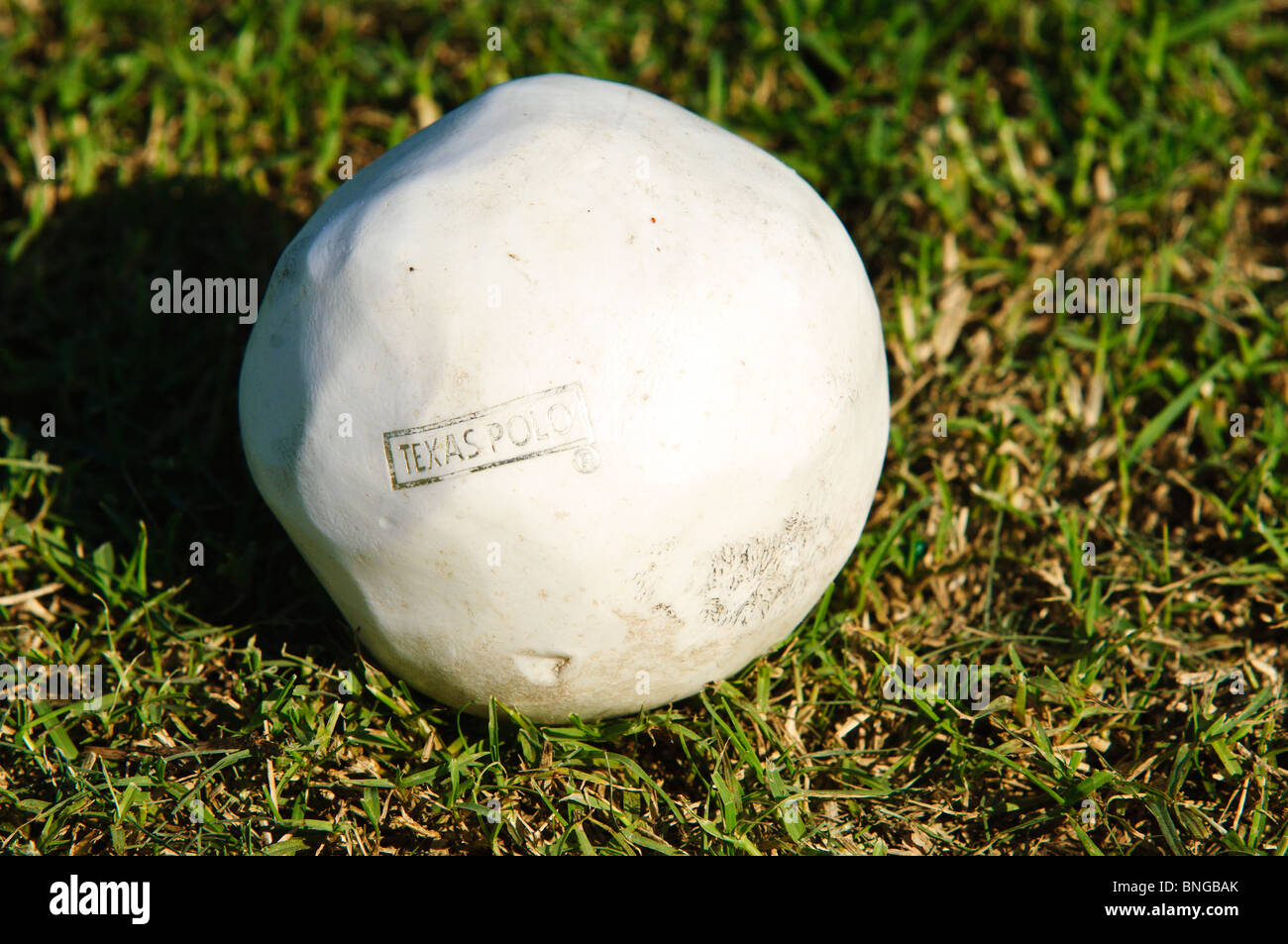 Houston Polo Club, houston, texas Stock Photo - Alamy