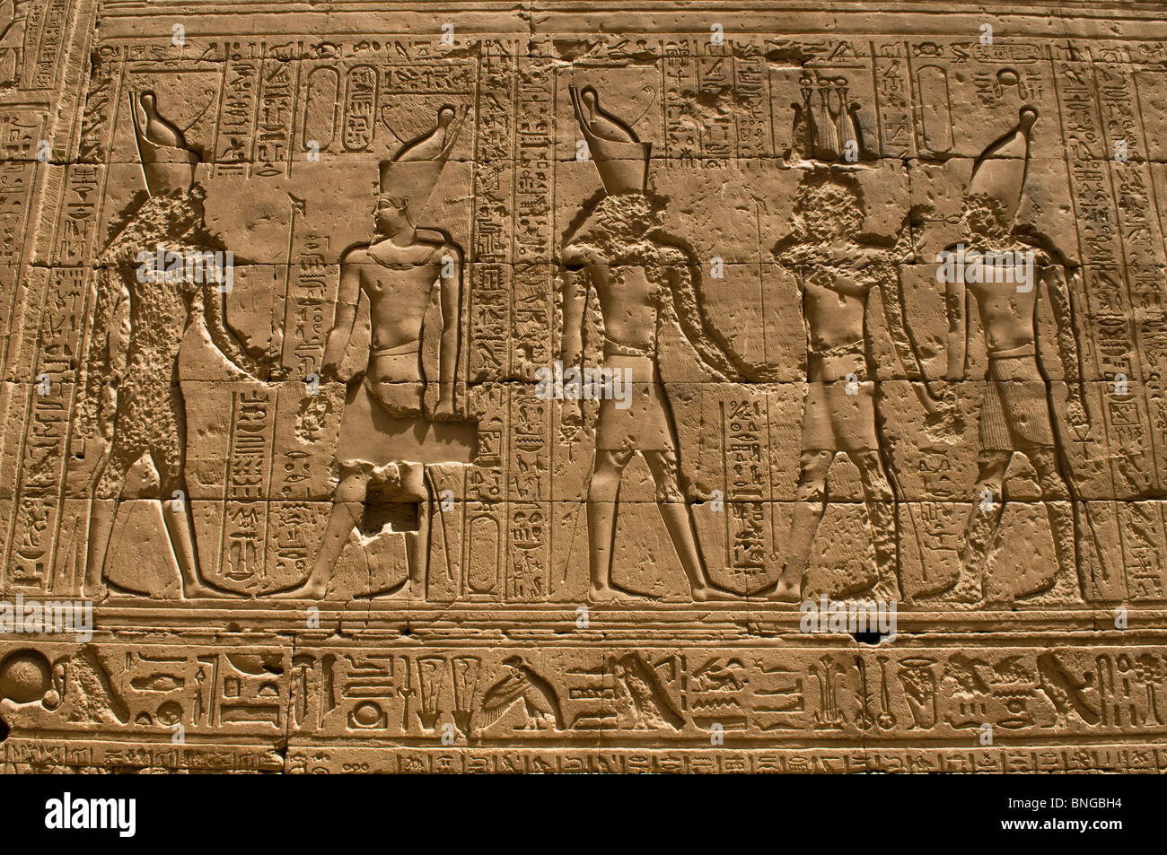 bas relief drawings inside the well preserved cult temple of Horus in ...