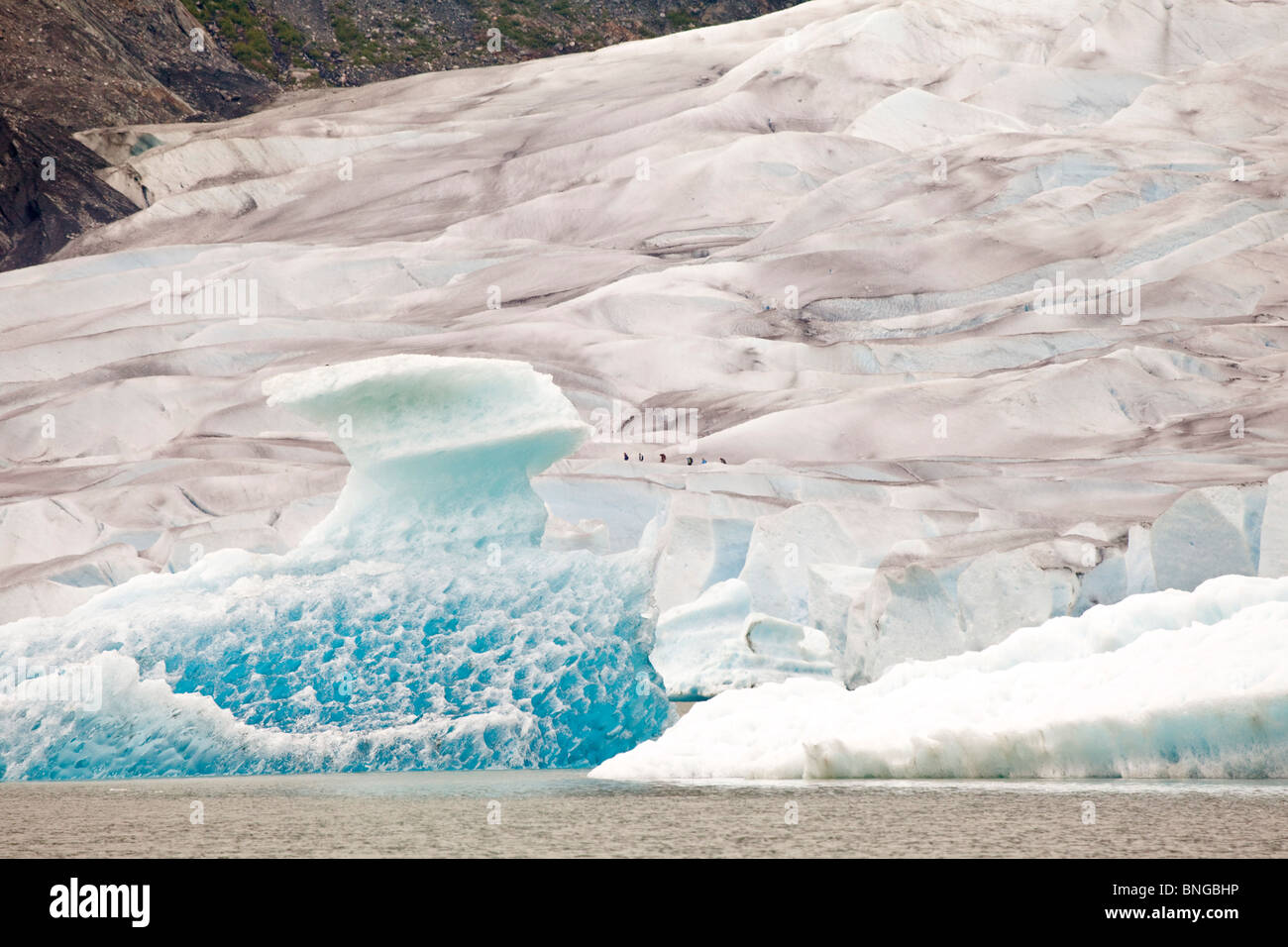 Alaska iceberg mendenhall glacier hi-res stock photography and images ...