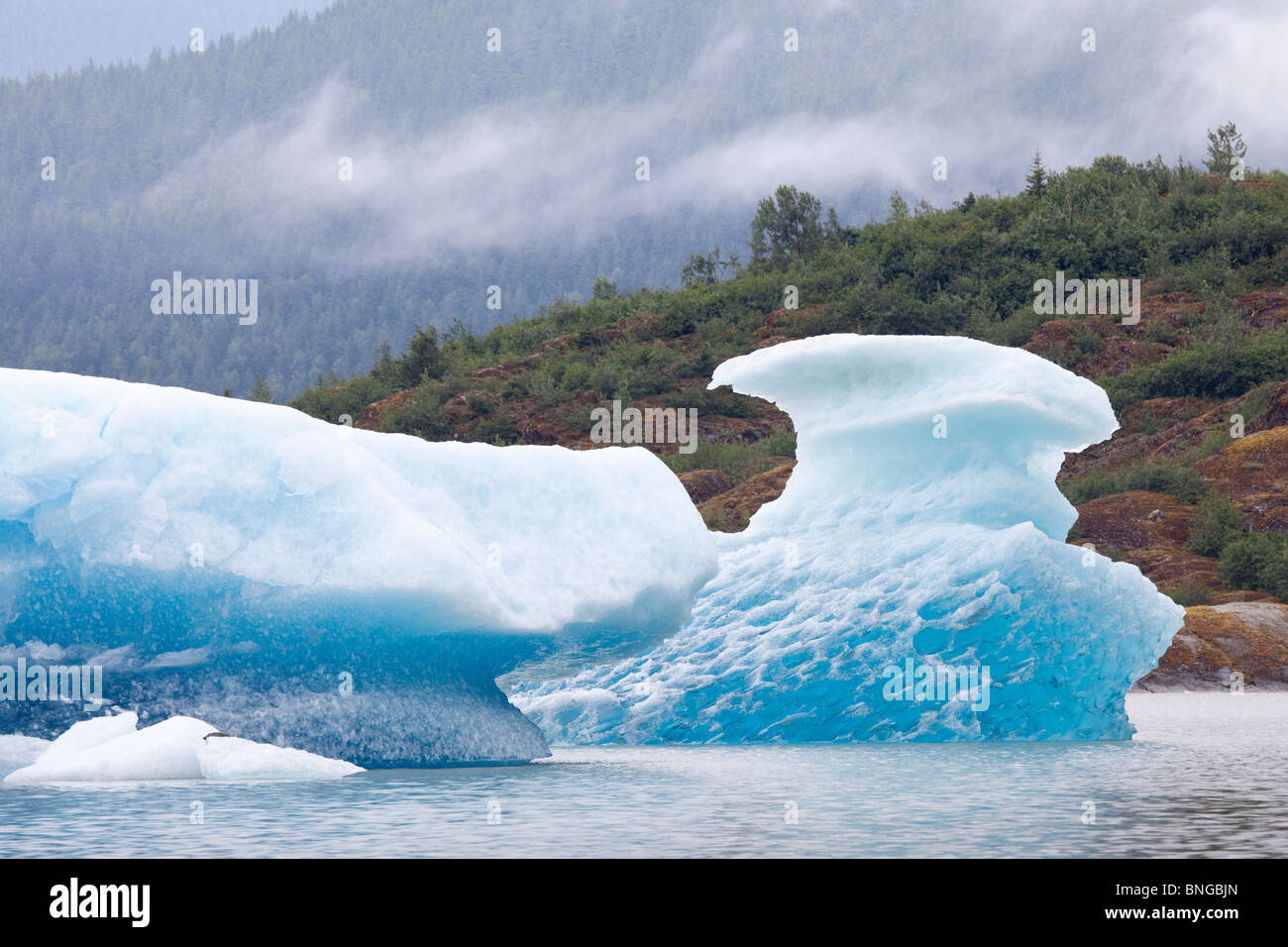USA; Alaska; Juneau; Mendenhall Glacier; Iceberg; Mendenhall Lake Stock ...