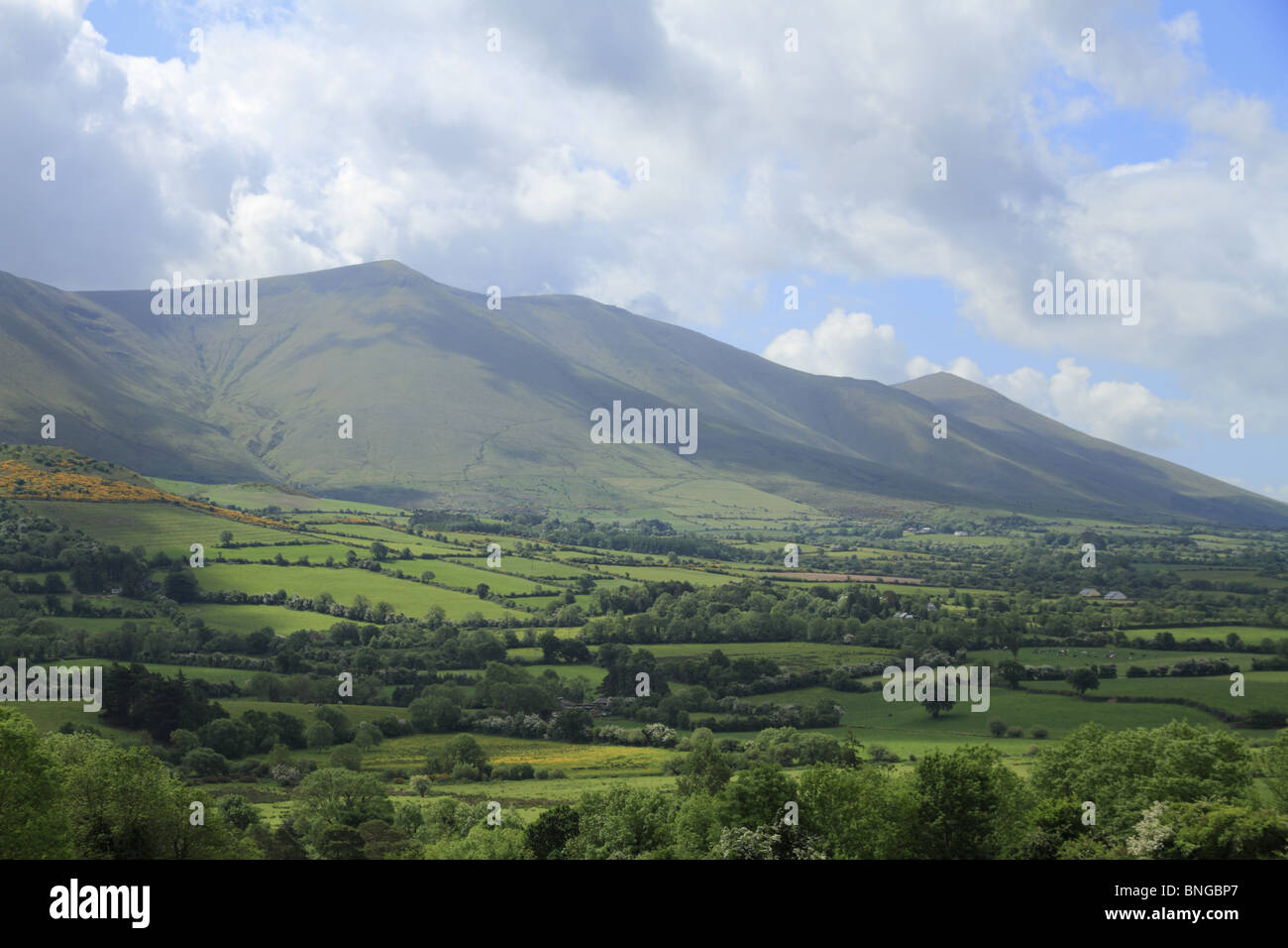 The Glen of Aherlow and Galtee Mountains, Co Limerick, Republic of ...