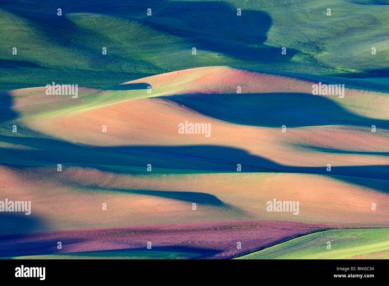 Eastern washington irrigation hi-res stock photography and images - Alamy