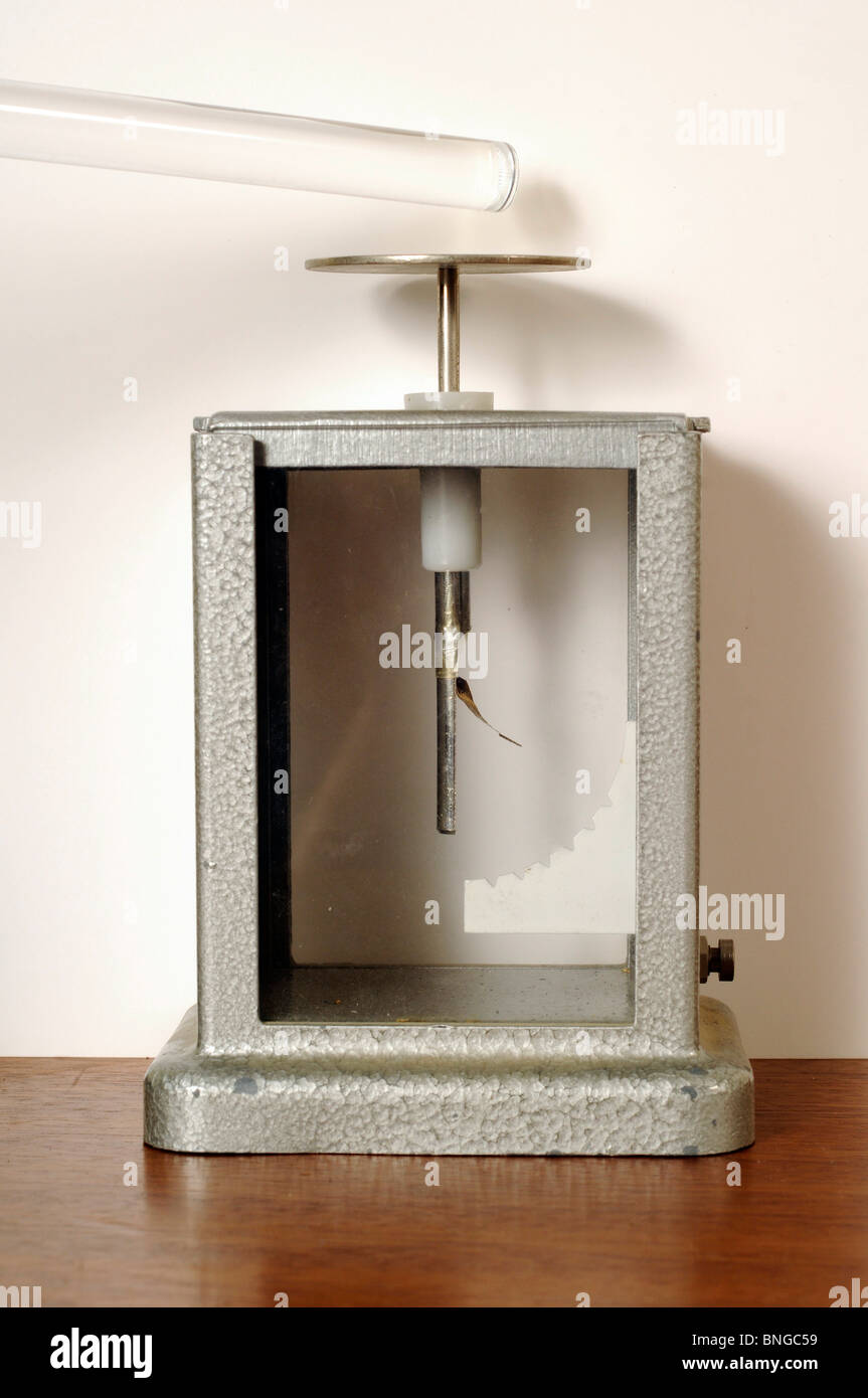 Gold leaf hi-res stock photography and images - Alamy