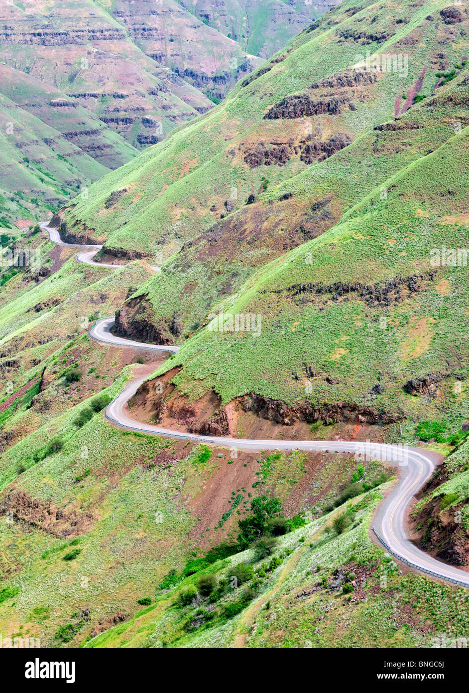 Enterprise/Lewiston Highway 129. with spring growth. Oregon Stock Photo ...
