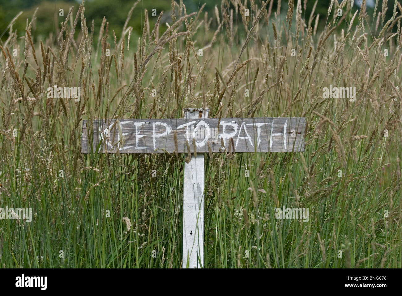 Hand made sign advising walkers to keep to the path Stock Photo - Alamy