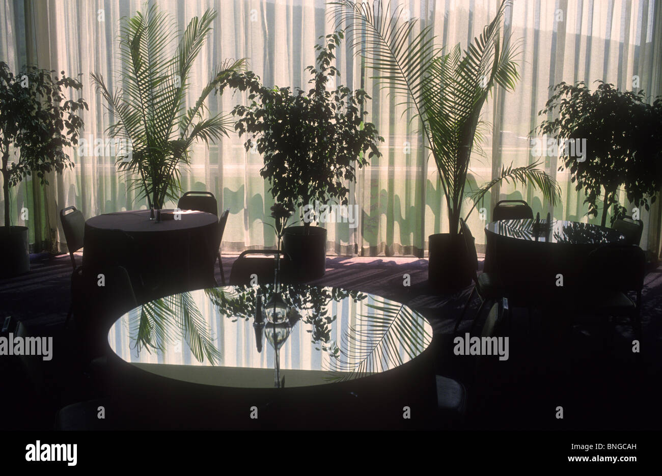 abstract reflection restaurant Stock Photo - Alamy