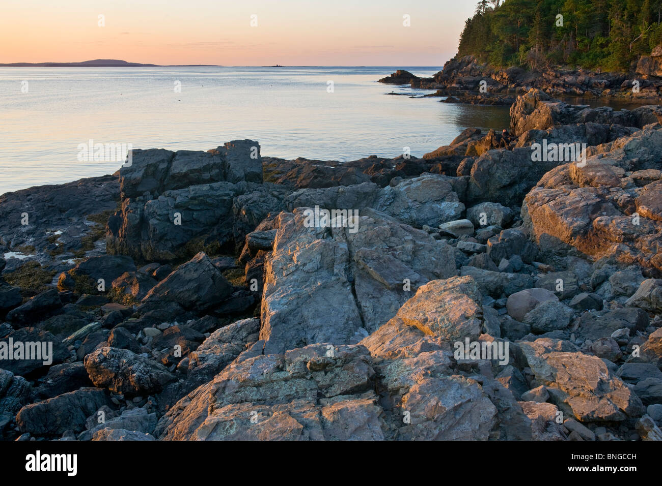 Dorr hi-res stock photography and images - Alamy