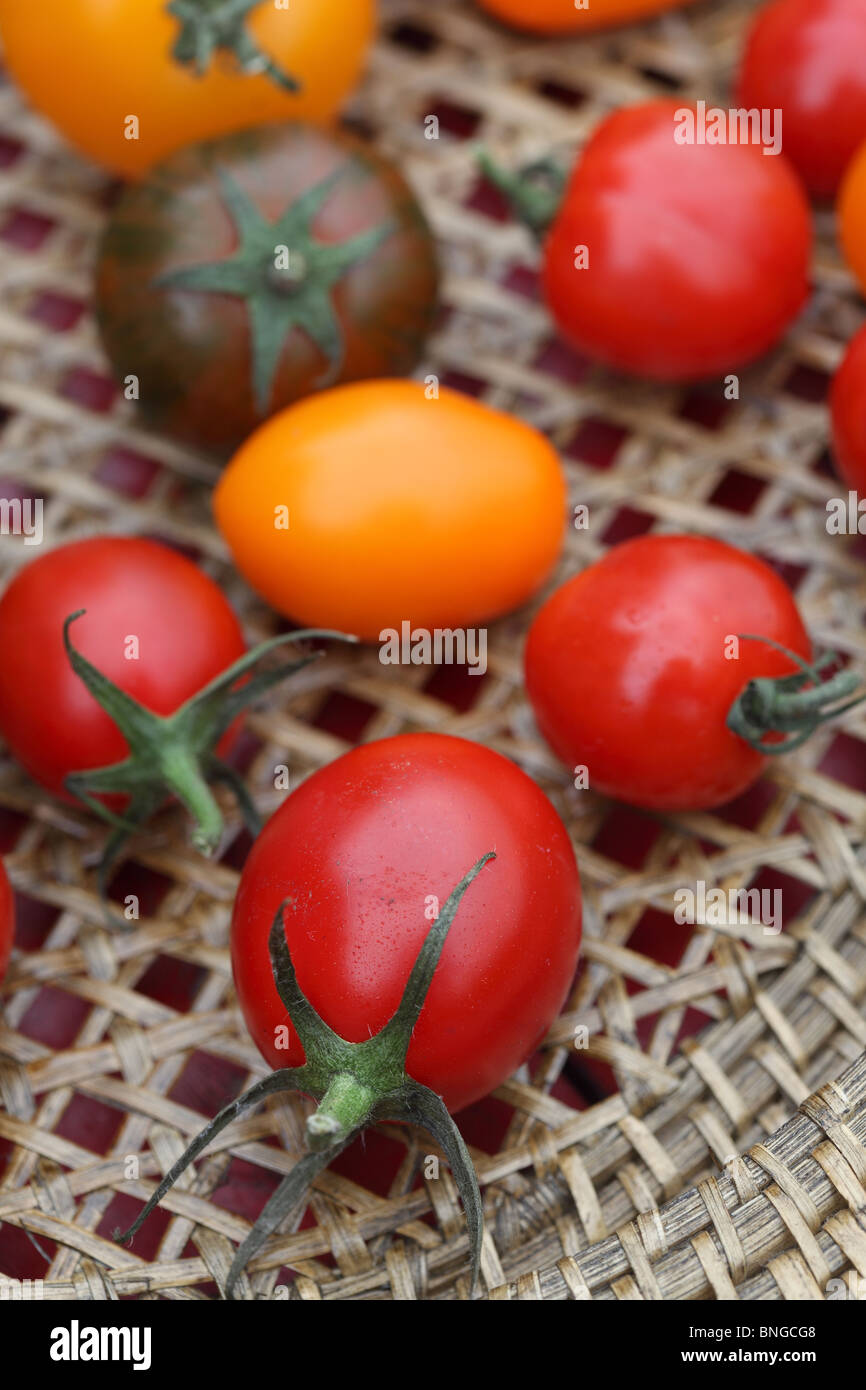 Mix color hi-res stock photography and images - Alamy