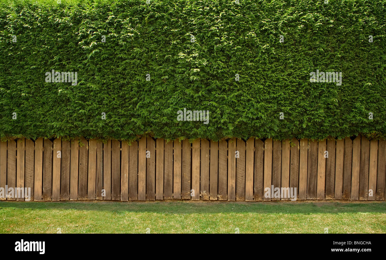 Hedge fence hi-res stock photography and images - Alamy