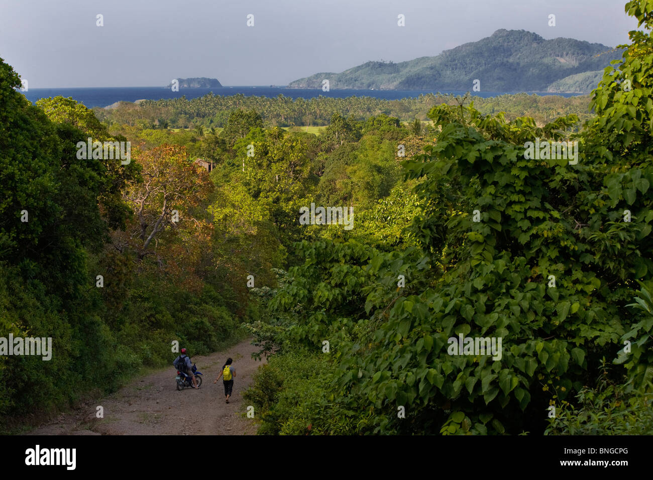 TROPICAL JUNGLE and the PACIFIC OCEAN in the far north of PALAWAN ...