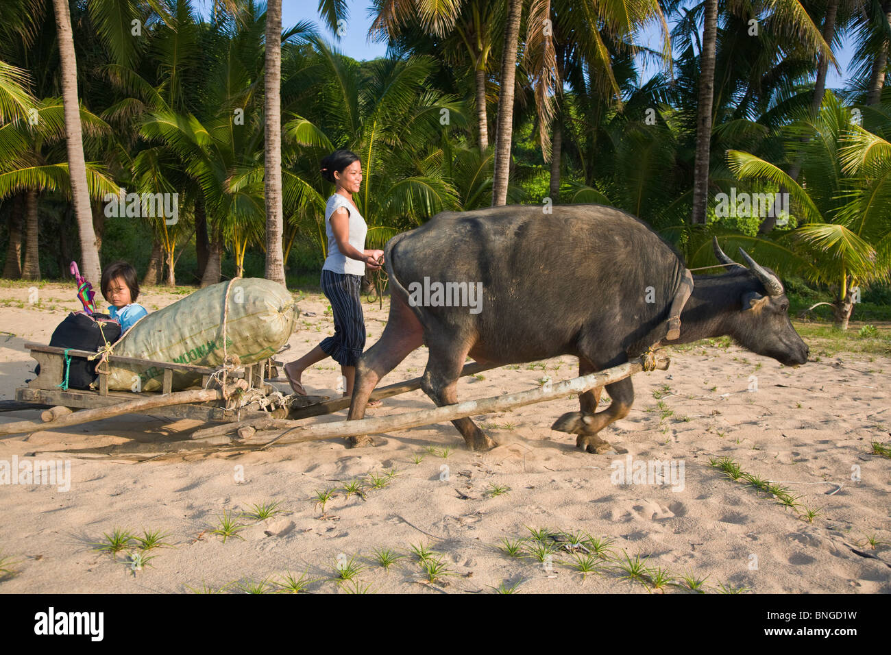 Child island hi-res stock photography and images - Alamy