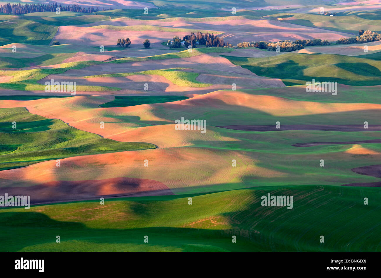 Eastern washington farm irrigation hi-res stock photography and images ...