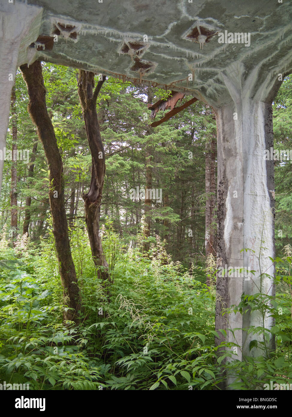 Treadwell mine hi-res stock photography and images - Alamy