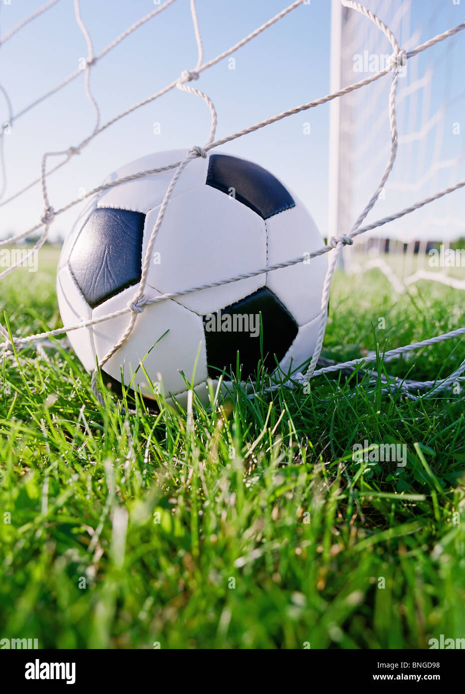 Football in the goal net Stock Photo - Alamy
