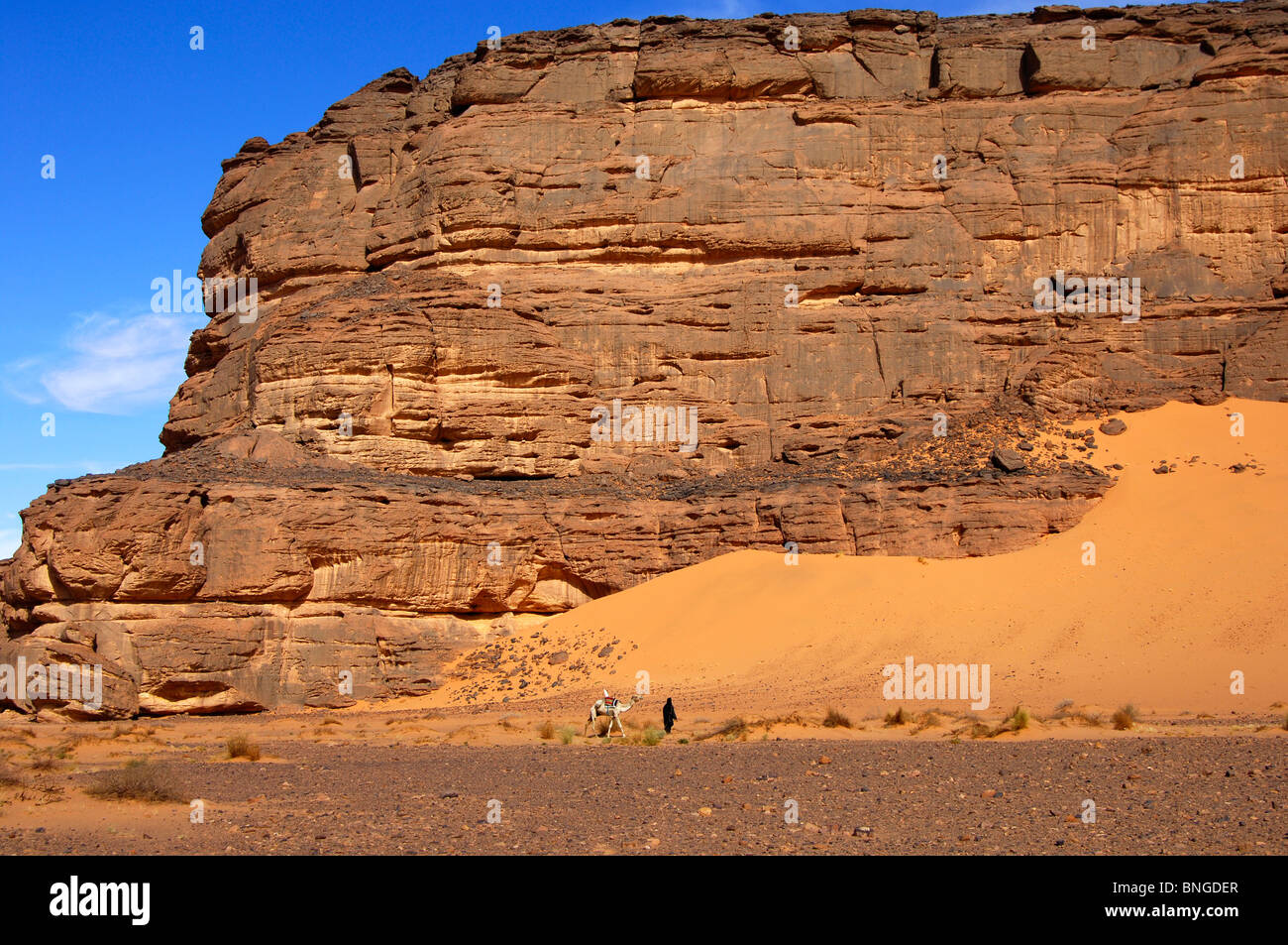 Libya tuareg camel africa desert hi-res stock photography and images ...