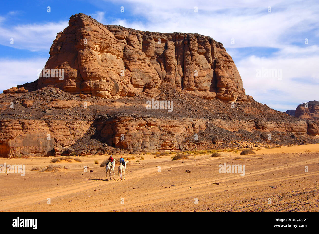 Libya sahara camel camels hi-res stock photography and images - Alamy