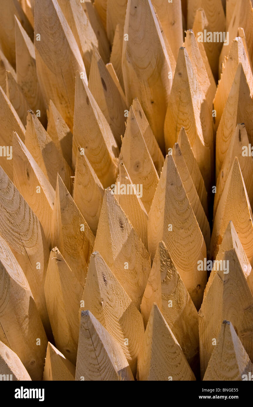 A pile of sharpened poles Stock Photo - Alamy