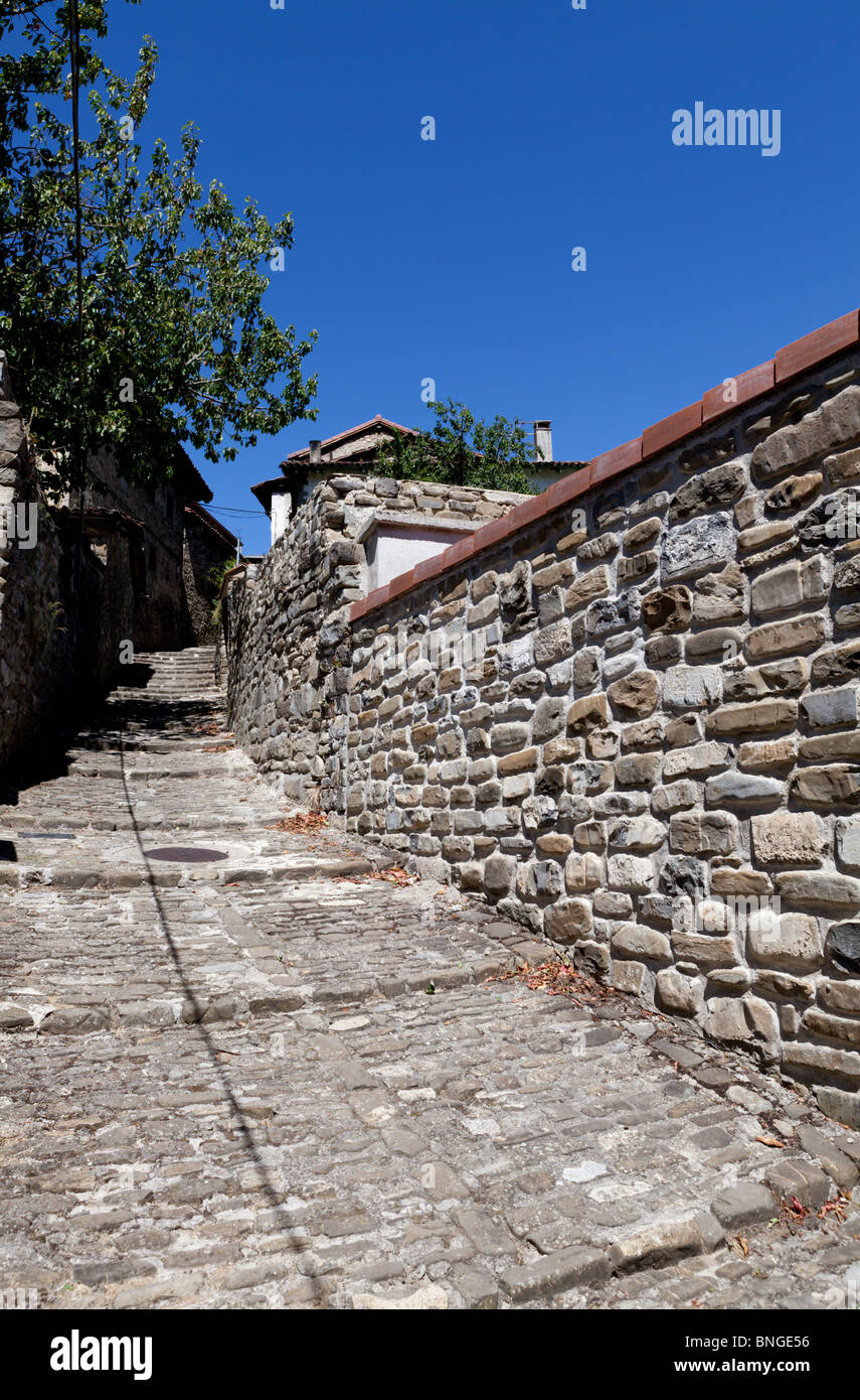A narrow cobbled street in the village of Roncal, Spanish Pyrenees ...