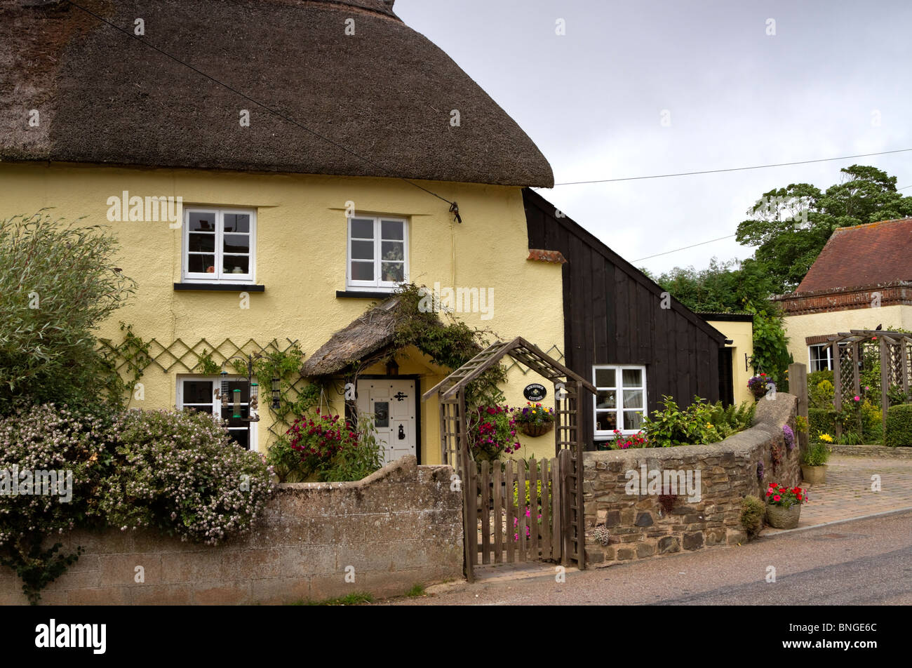 Thatched roof cottage in Morchard Bishop, Devon. A pretty cottage with ...