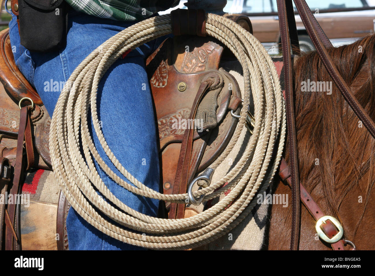Lasso cowboy close up hi-res stock photography and images - Alamy