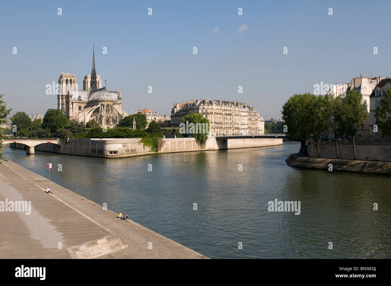 Cathedral at the waterfront, Notre Dame, Seine River, Paris, Ile-de ...