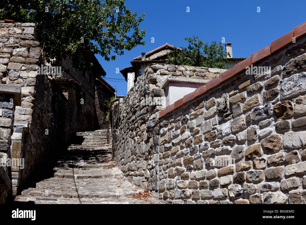 A narrow cobbled street in the village of Roncal, Spanish Pyrenees ...