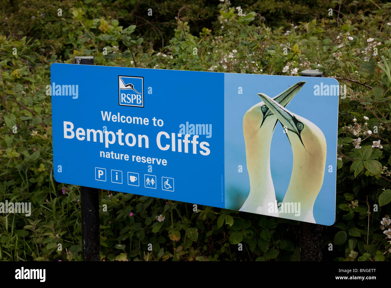 Rspb east yorkshire hi-res stock photography and images - Alamy