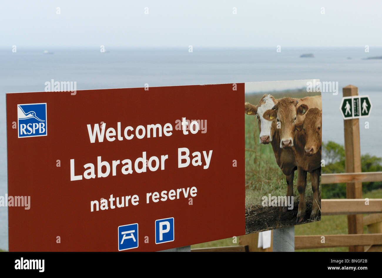 Labrador bay rspb hi-res stock photography and images - Alamy