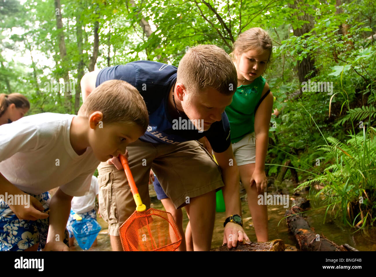 Children catching crayfish in a pond Stock Photo - Alamy
