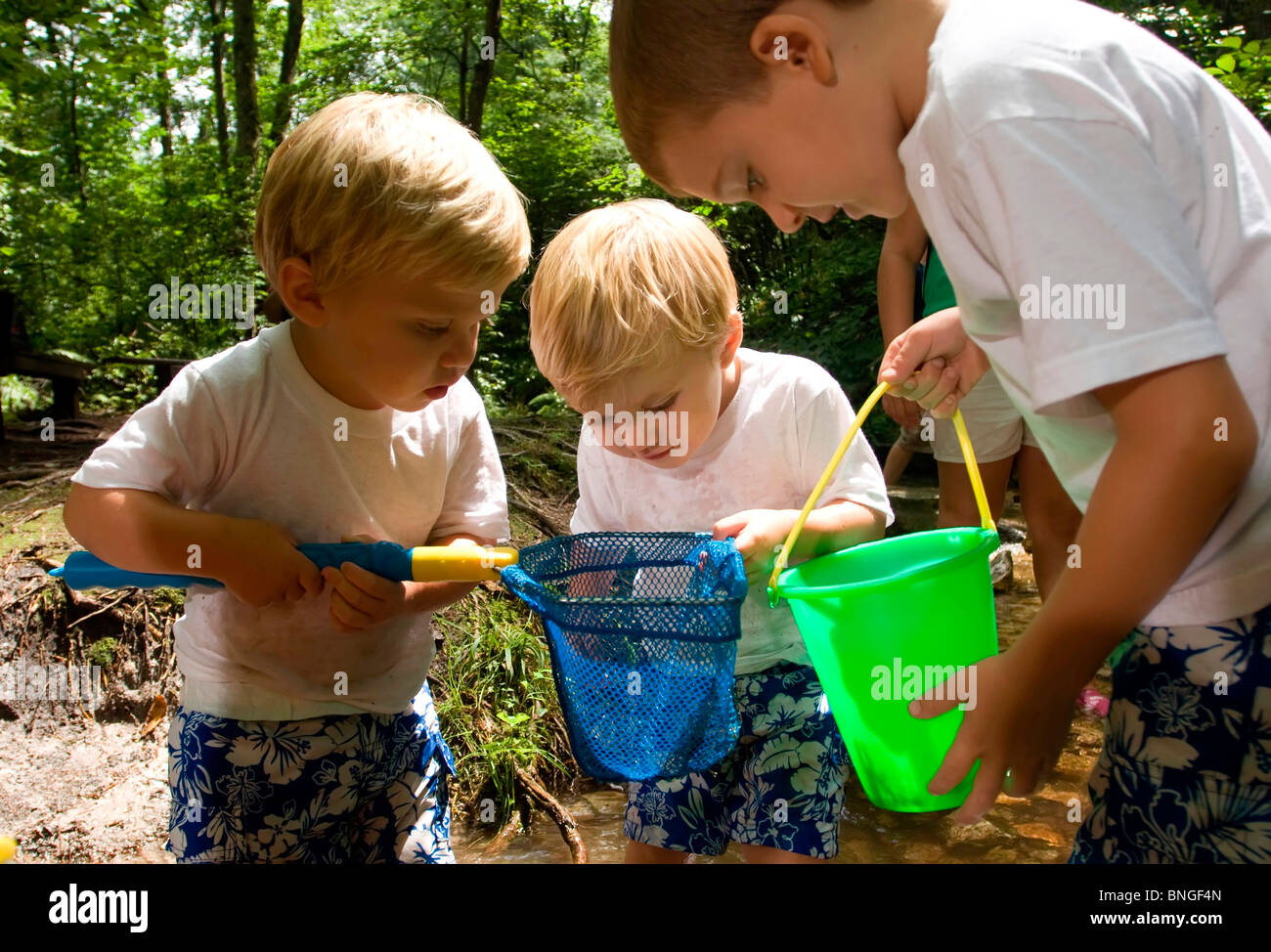 Children looking at crayfish caught in a net Stock Photo - Alamy