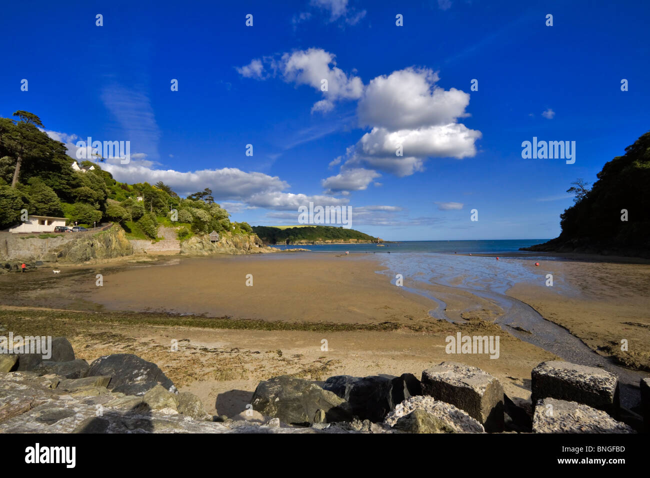 Salcombe devon beach hi-res stock photography and images - Alamy