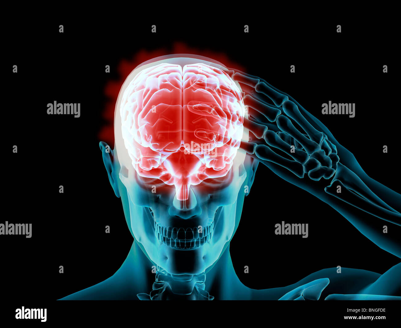 Holding skull man hi-res stock photography and images - Alamy