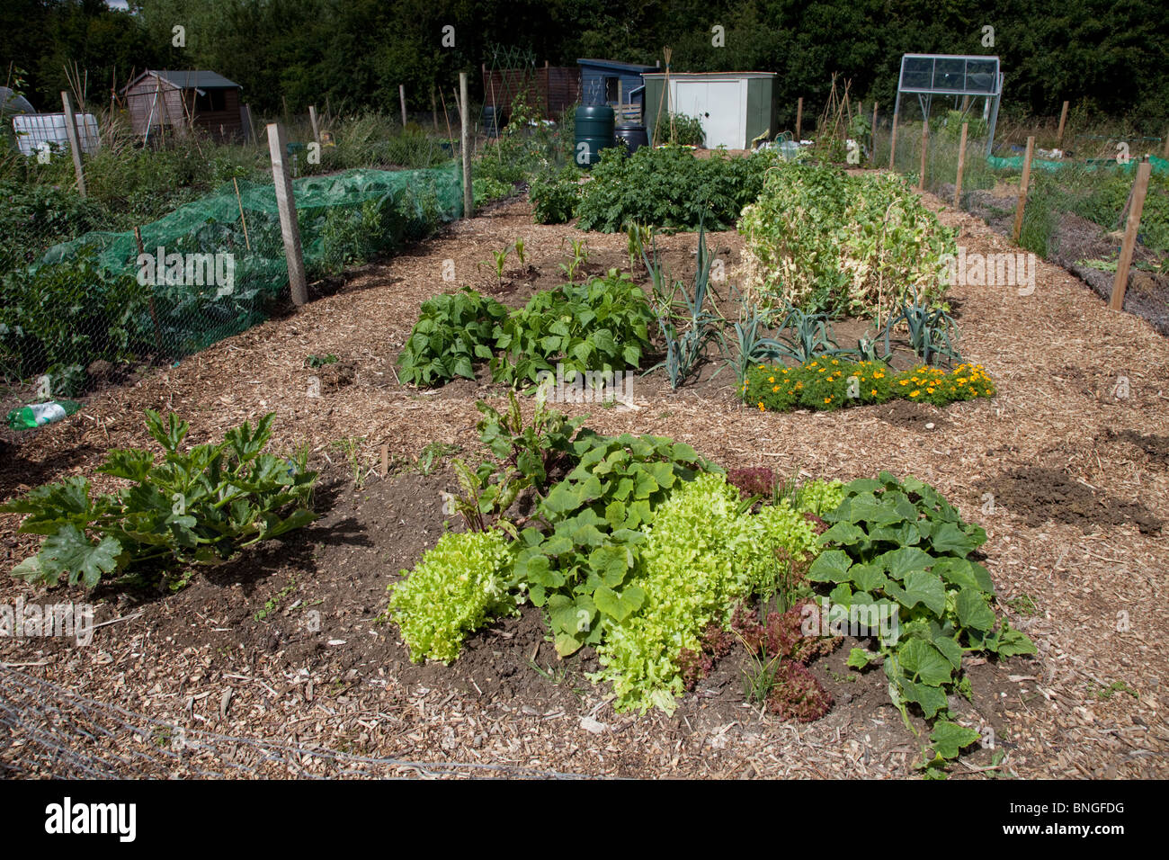 Allotments uk hi-res stock photography and images - Alamy