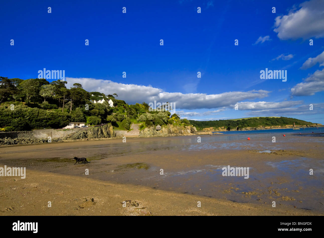 Low tide at North Sands beach, Salcombe, South Hams, Devon Stock Photo ...