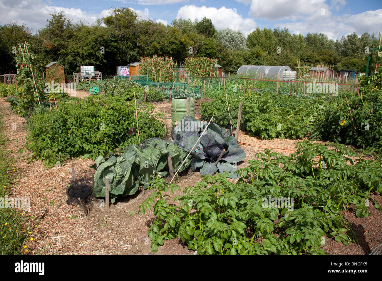 Allotments uk hi-res stock photography and images - Alamy