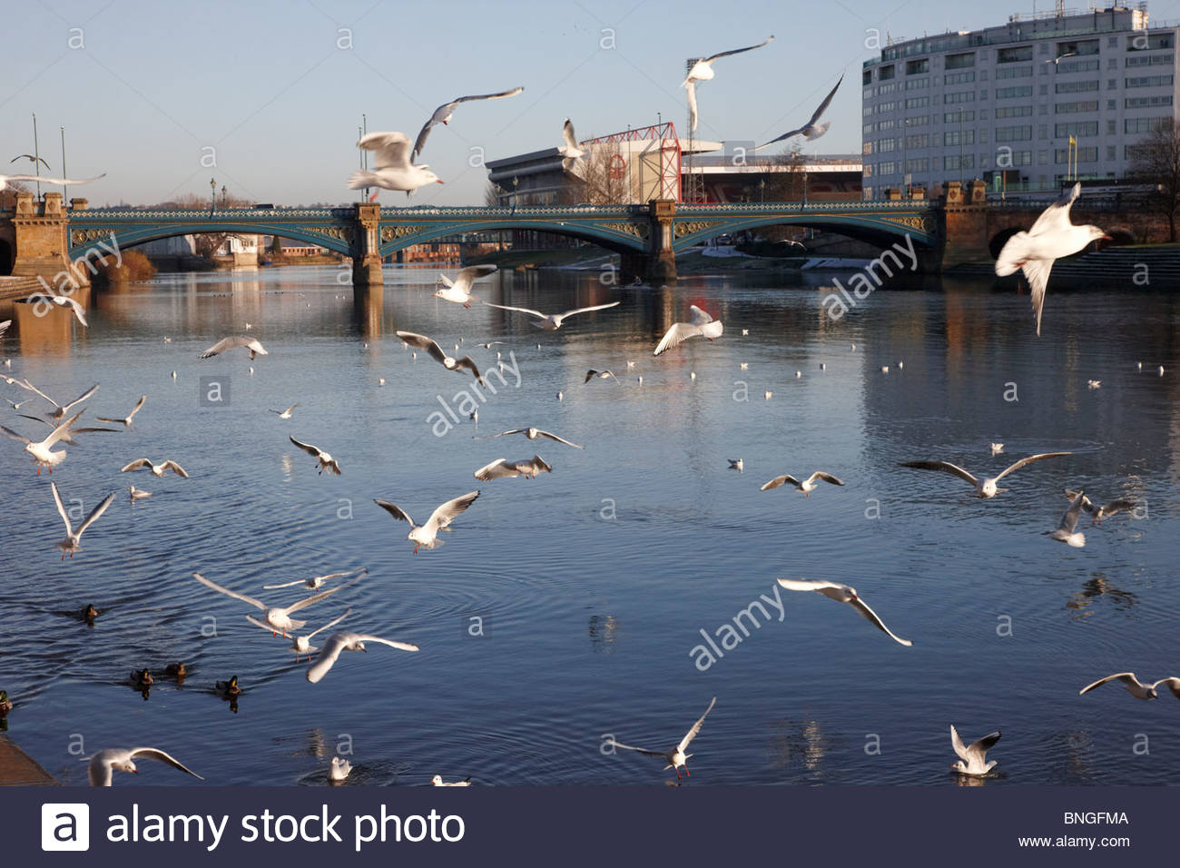 Trent Bridge City Ground Nottingham High Resolution Stock Photography ...