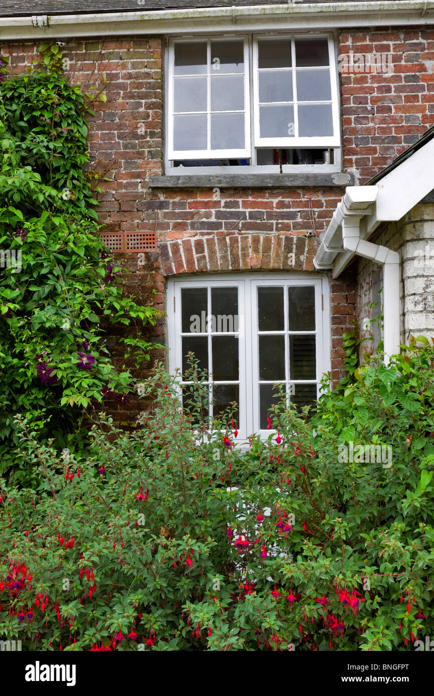 Clematis house hi-res stock photography and images - Alamy