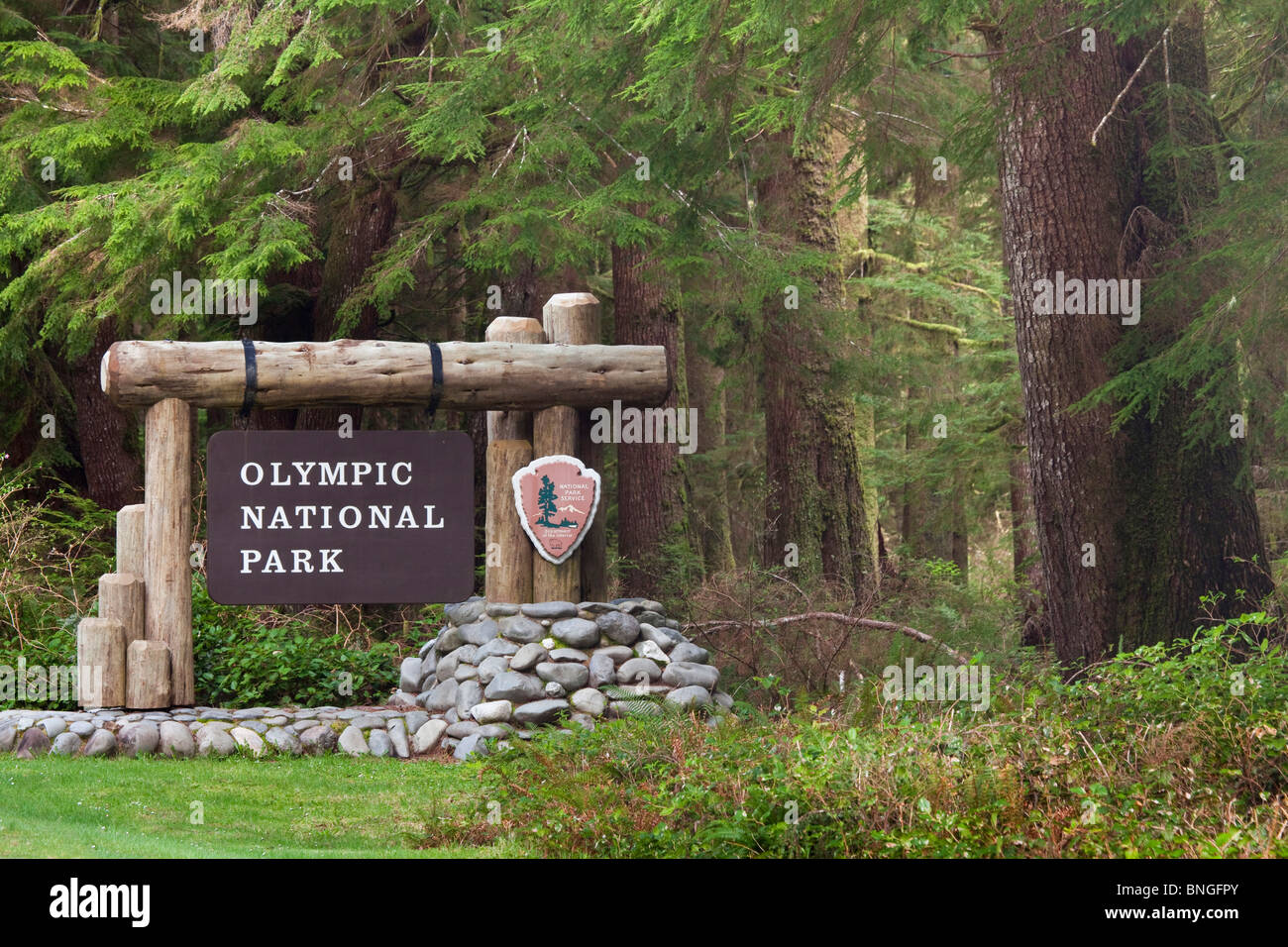 Fishing boats moored at a dock, Mora Bay, Olympic National Park ...