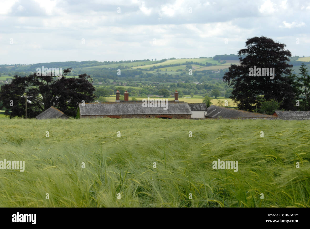 Overcast sky farming hi-res stock photography and images - Alamy