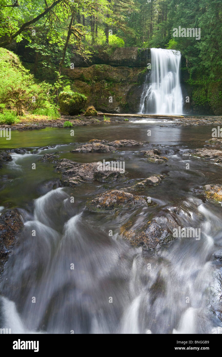 Waterfall in a forest, Upper North Falls, Silver Falls State Park ...