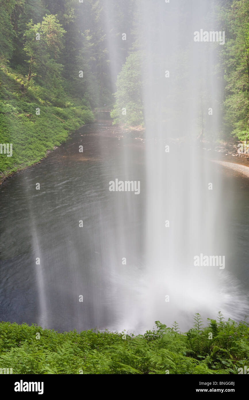 Waterfall in a forest, South Falls, Silver Falls State Park, Silverton ...