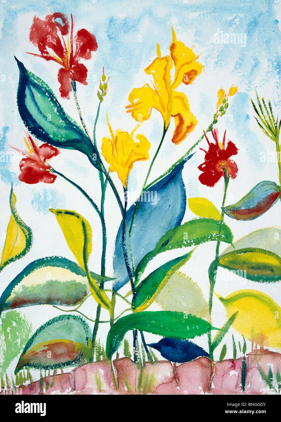 Canna Lilies by Sir Roy Calne, watercolor Stock Photo - Alamy