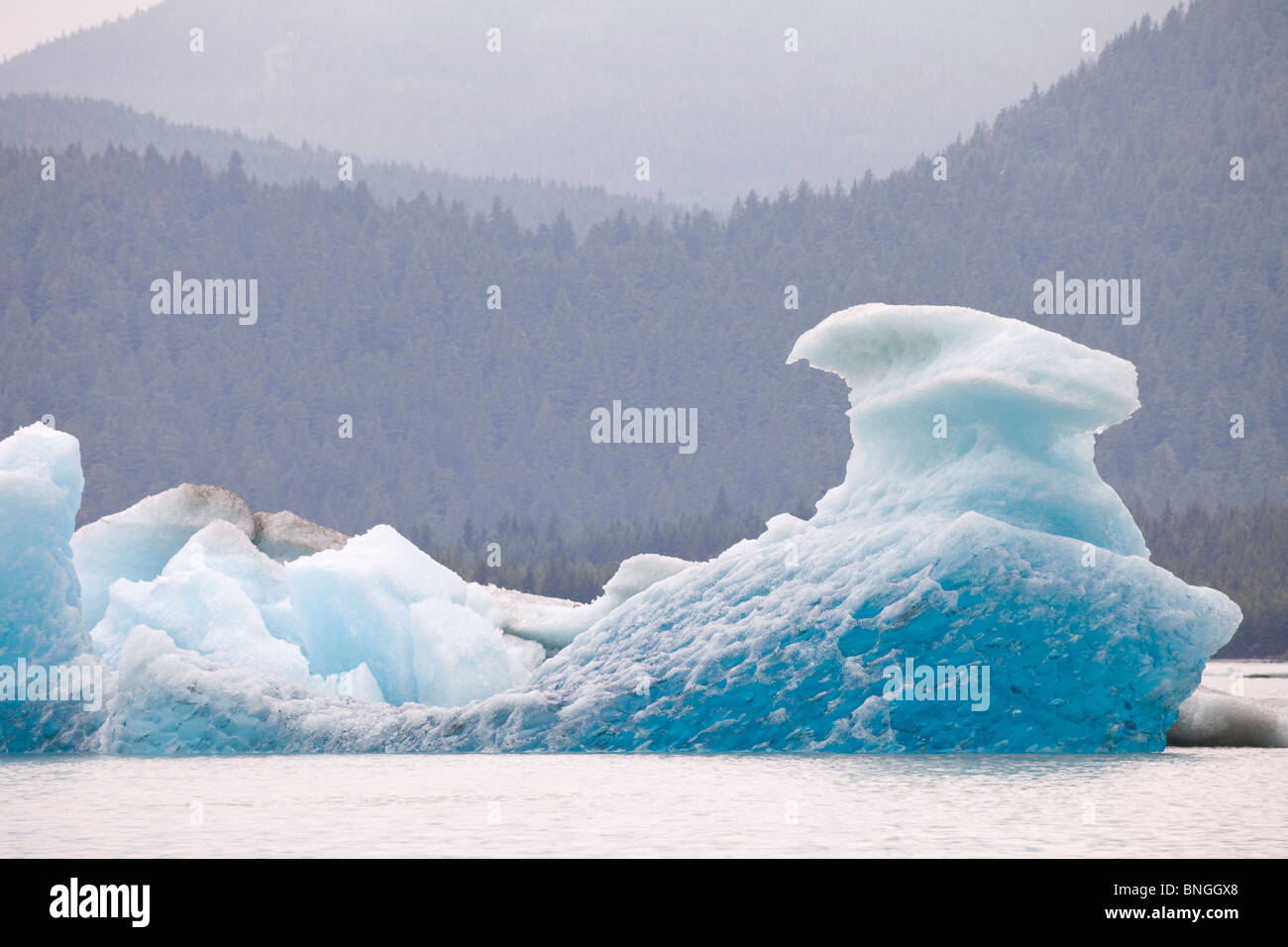 Iceberg in mendenhall glacier in hi-res stock photography and images ...