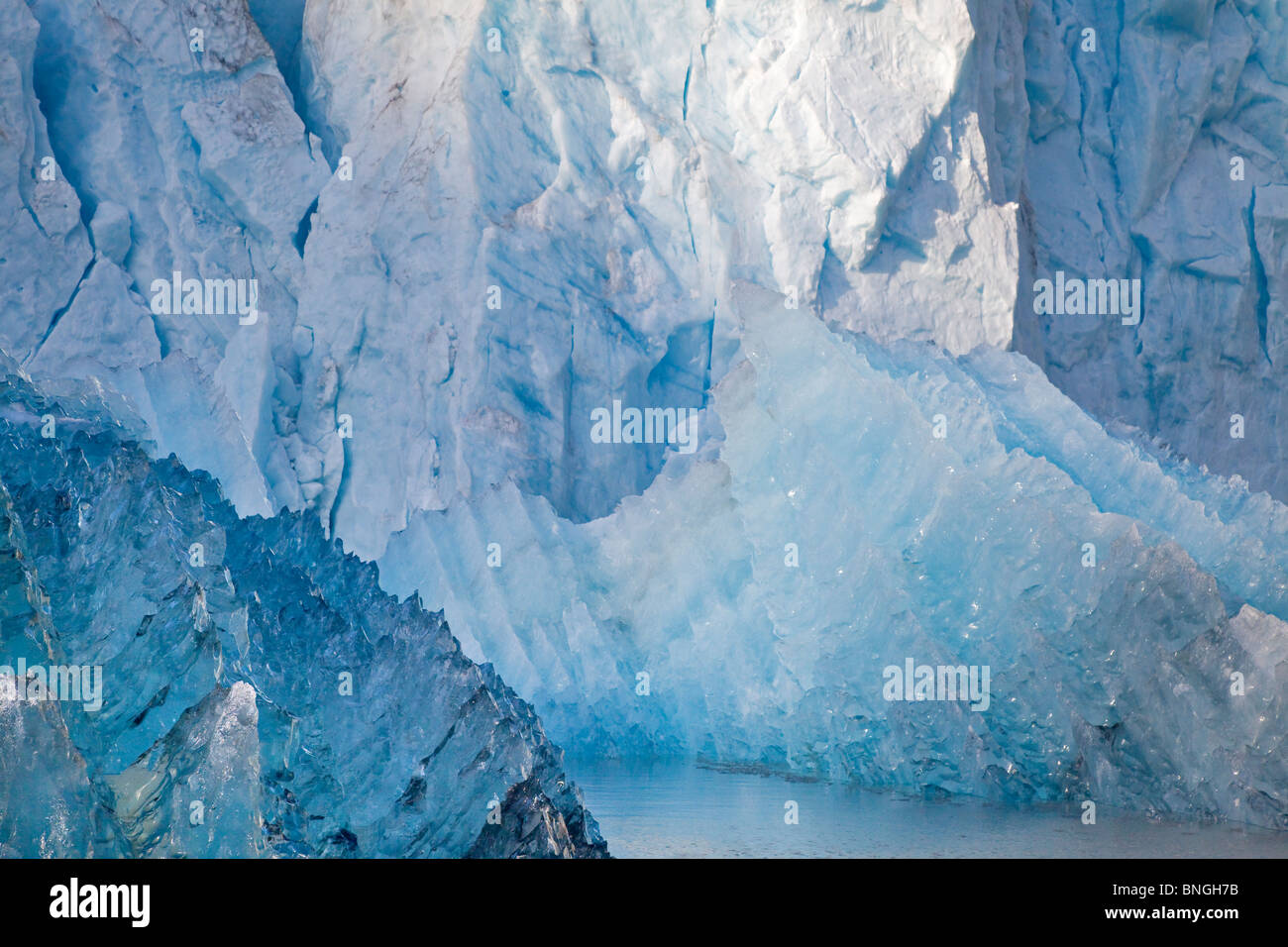 Iceberg floating on water, Reid Glacier, Glacier Bay National Park ...