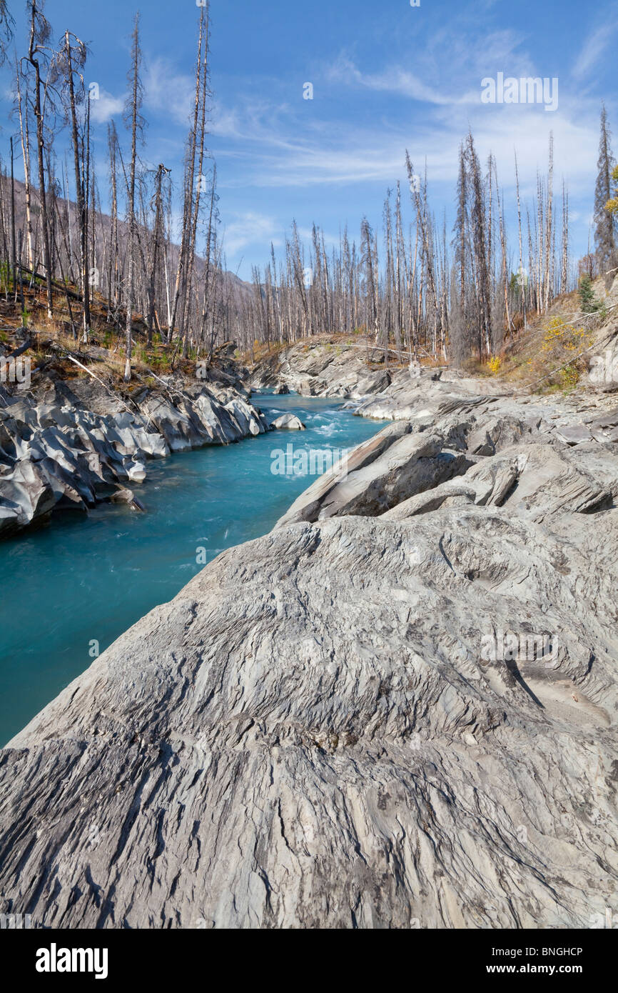 River flowing through a forest, Kootenay River, Marble Canyon, Kootenay ...
