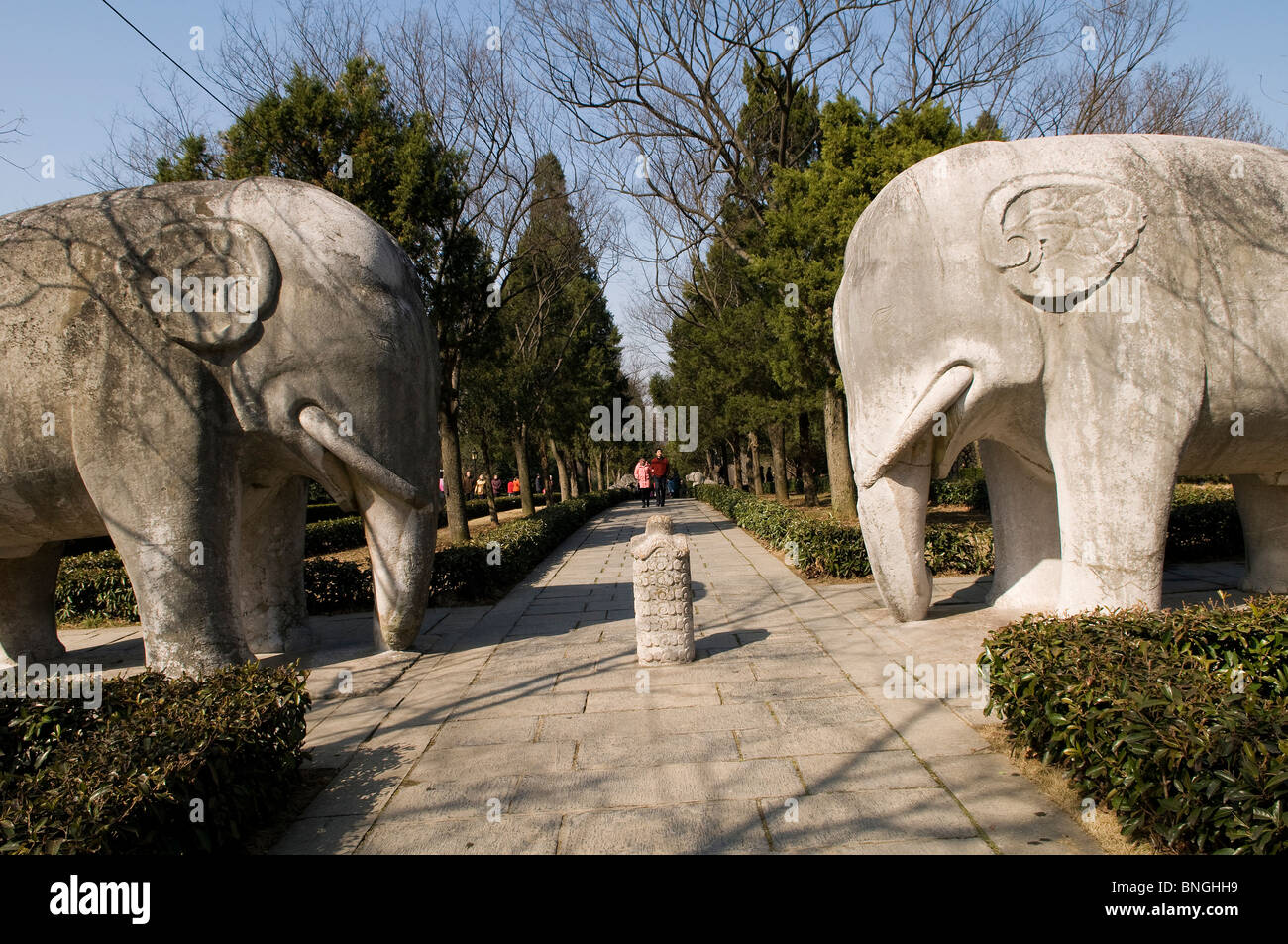 Stone animals / Ming tombs in Nanjing Stock Photo - Alamy