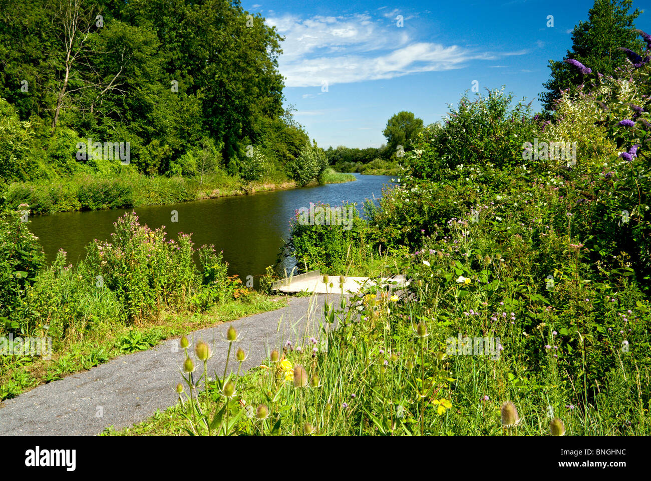 river ely besides ely trail footpath/cycle path cardiff south wales uk ...