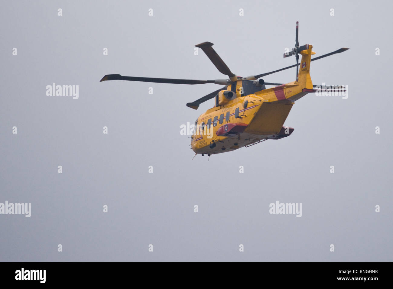 A CH-149 Cormorant Search and Rescue helicopter flies overhead during ...