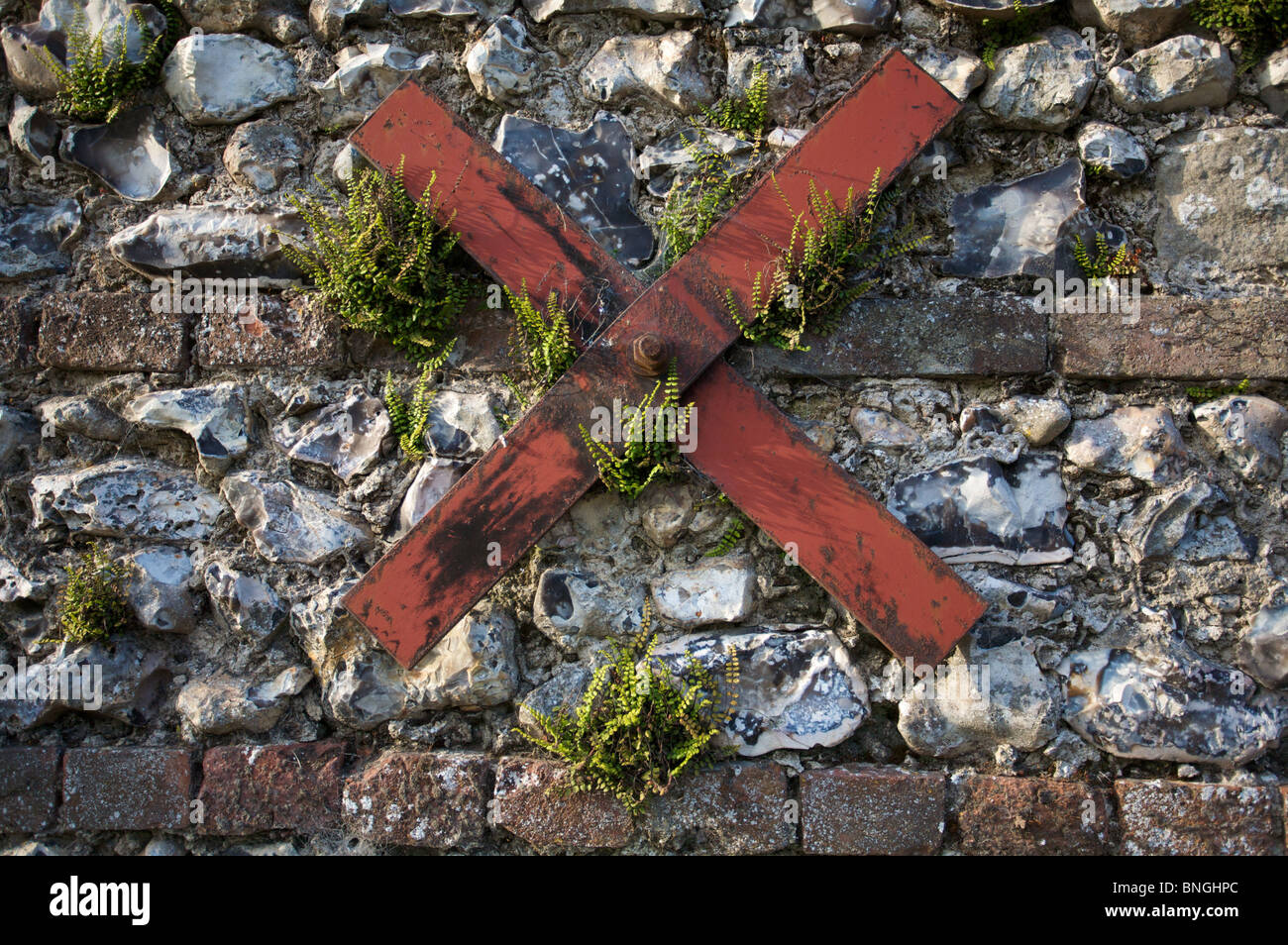 An X-shaped wall reinforcement bracket and small plants clinging to ...